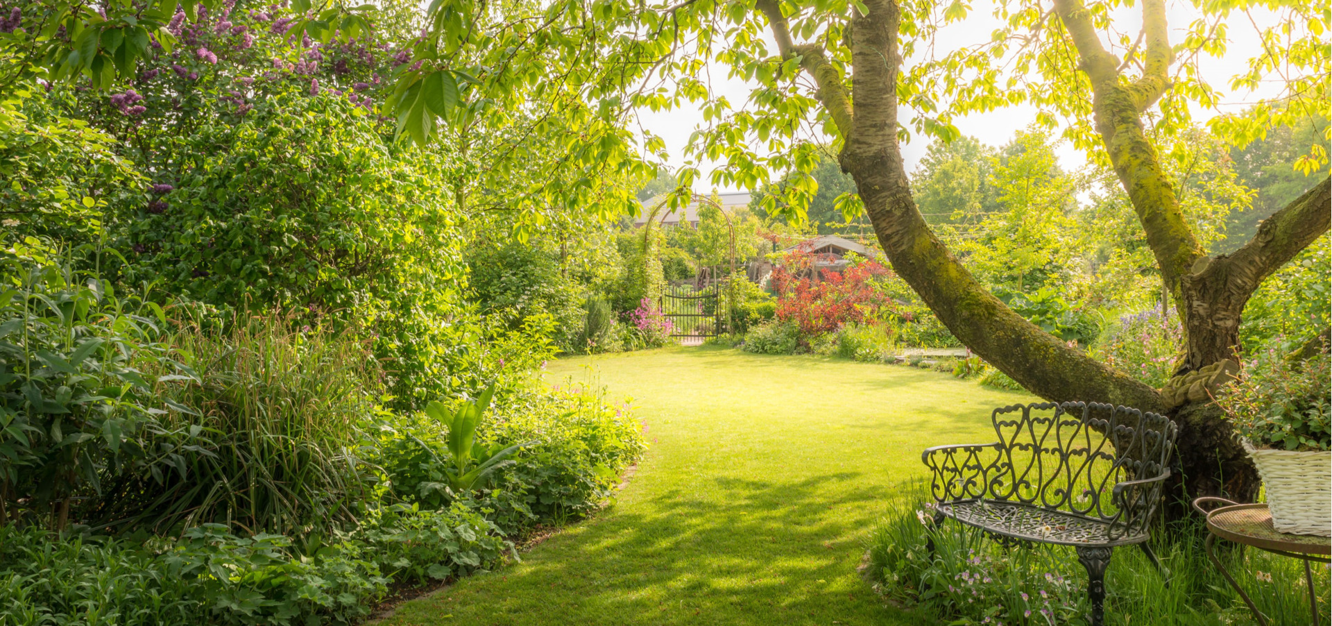 Tuincursus 'Een levende tuin maak je zelf'; door Marijke Stokking