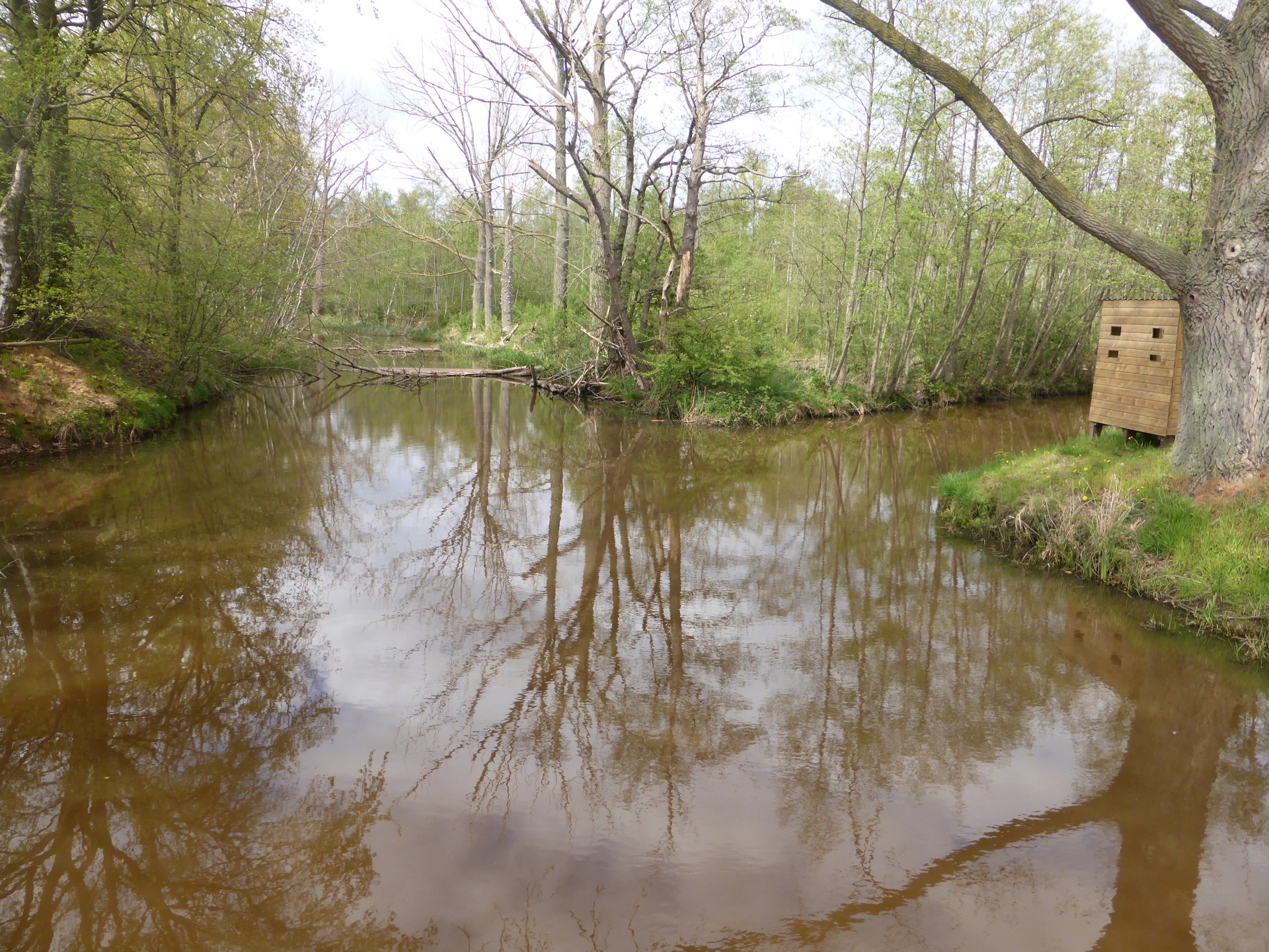Excursie: Grathem en Uffelse Beek